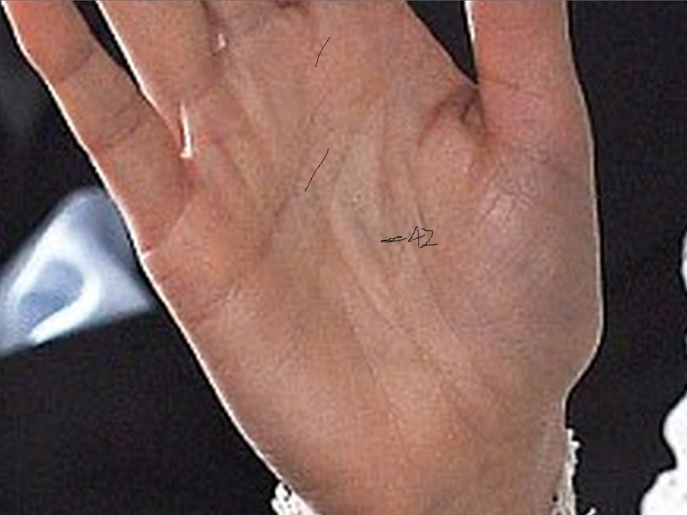 Case study: The Kate Middleton disappearance story